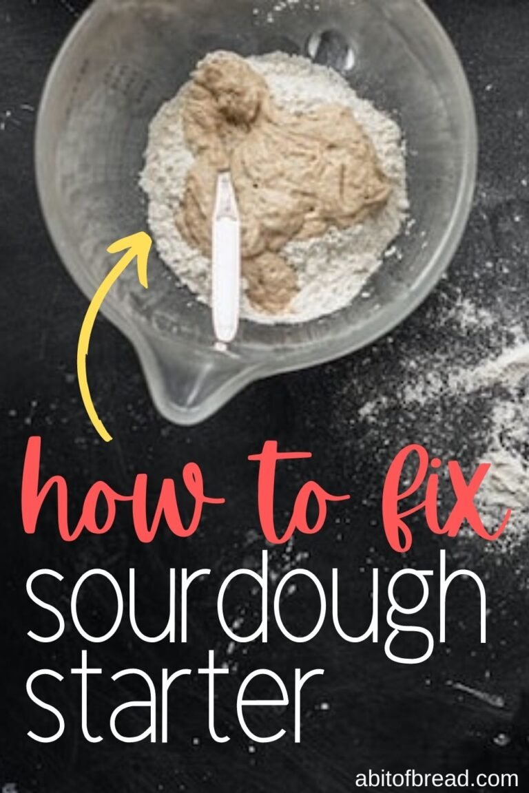 Troubleshooting Your Sourdough Starter | Bread Hacks & Tips - abitofbread.com