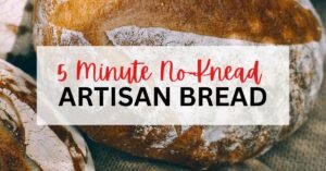 Easy No-Knead 5 Minute Artisan Bread: A Delicious Homemade Bread Recipe - abitofbread.com