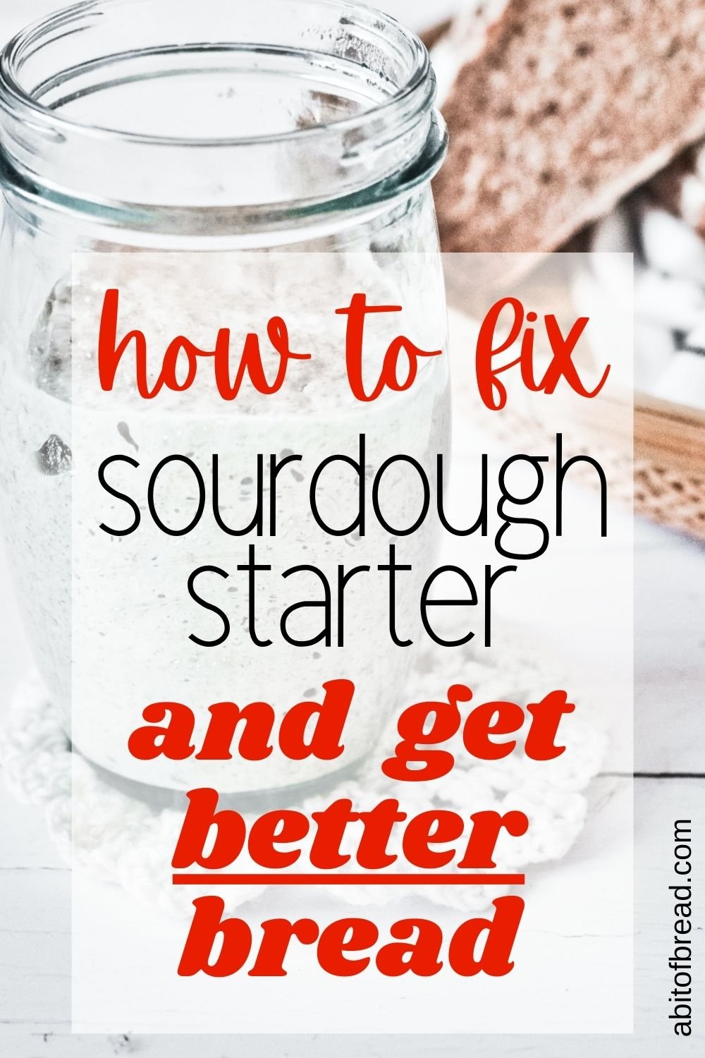 Troubleshooting Your Sourdough Starter | Bread Hacks & Tips ...